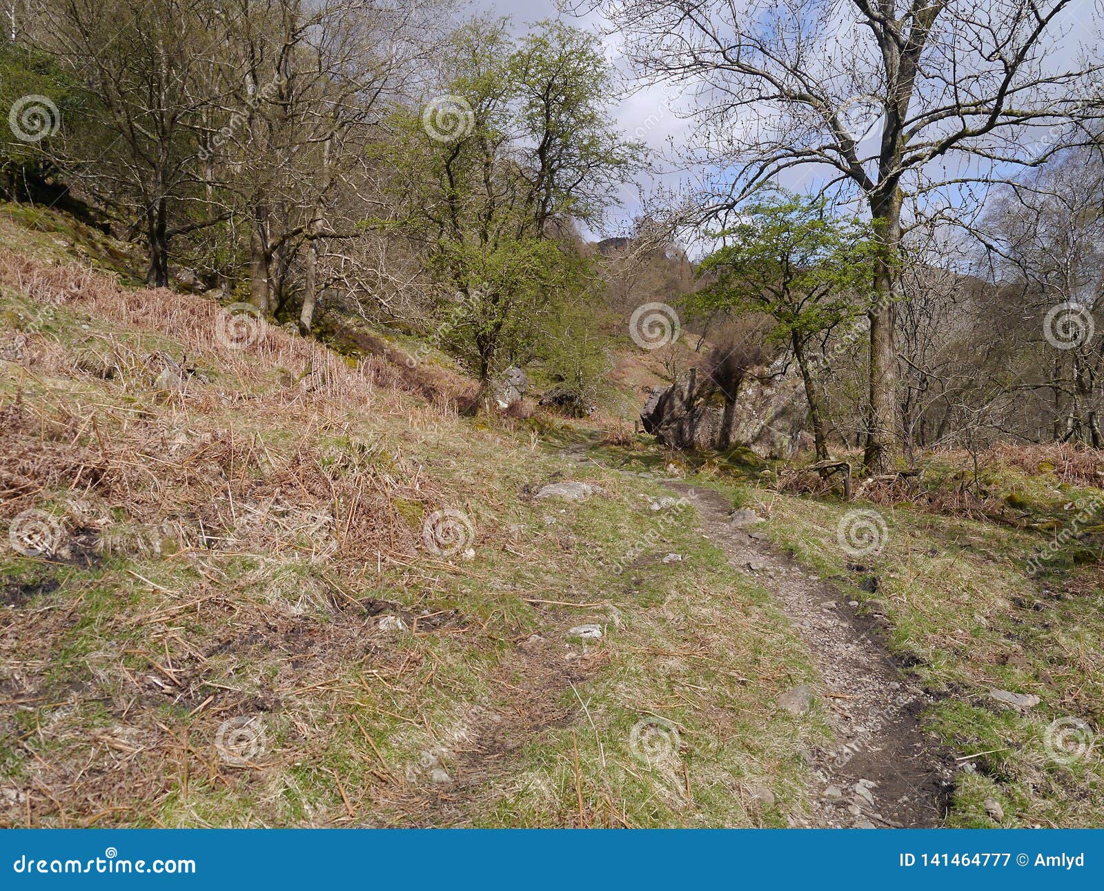 Hillside Path Approaching Large Rock Stock Image - Image of path, grass ...