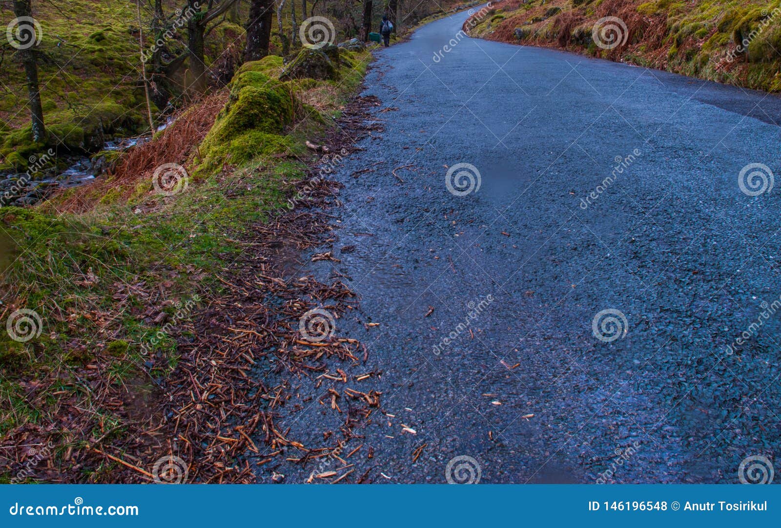 The Hillside Path with Streams beside the Beautiful Path in Autumn ...