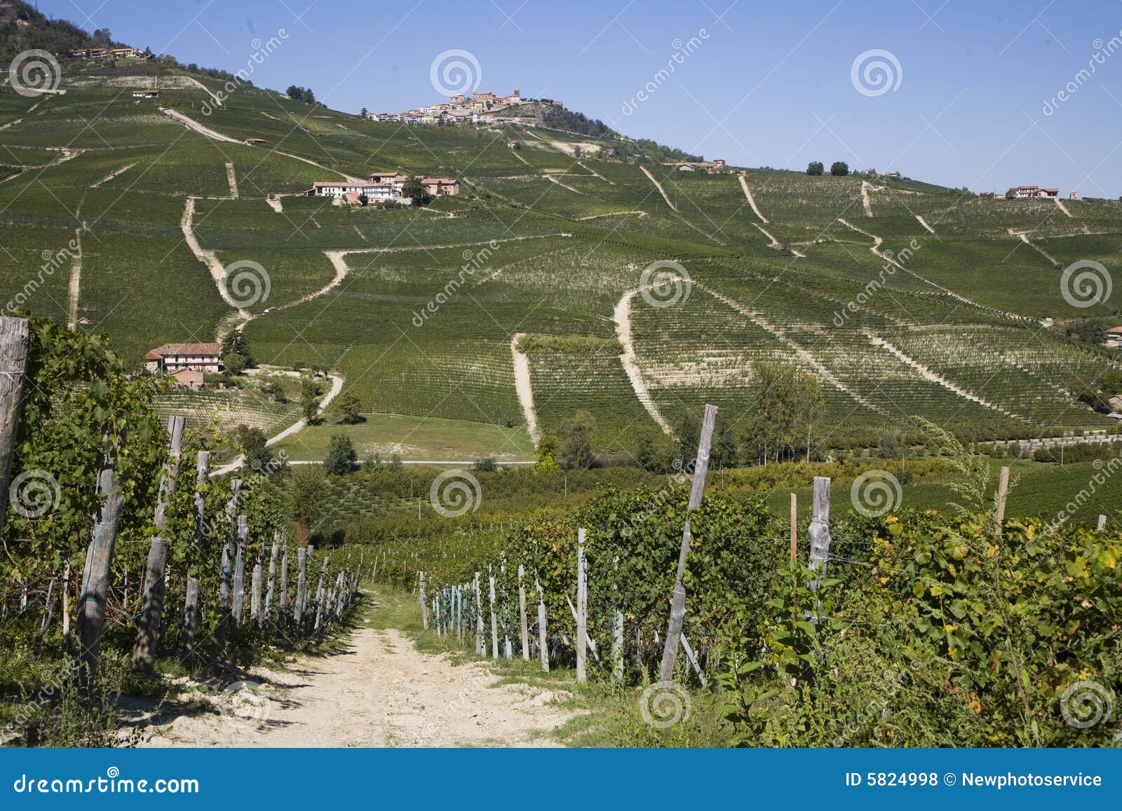 Hillside in Piemonte stock photo. Image of characteristic - 5824998