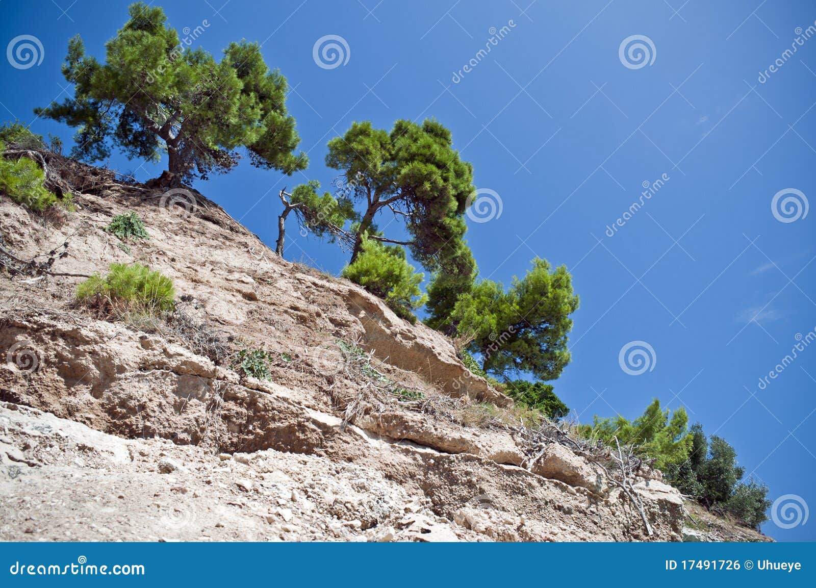 Hillside with Pine stock photo. Image of blue, rocky - 17491726