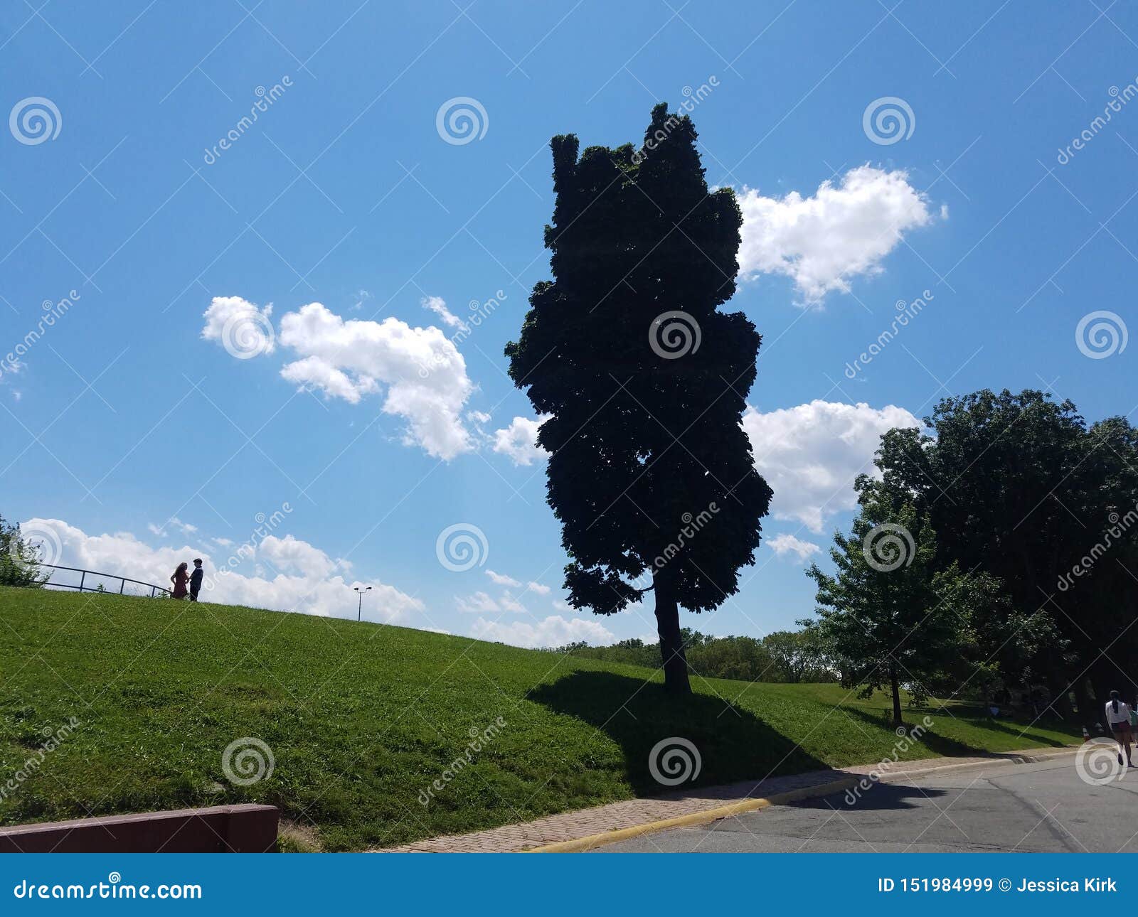 Hillside with Single Tree and Big Sky Stock Image - Image of cloud ...