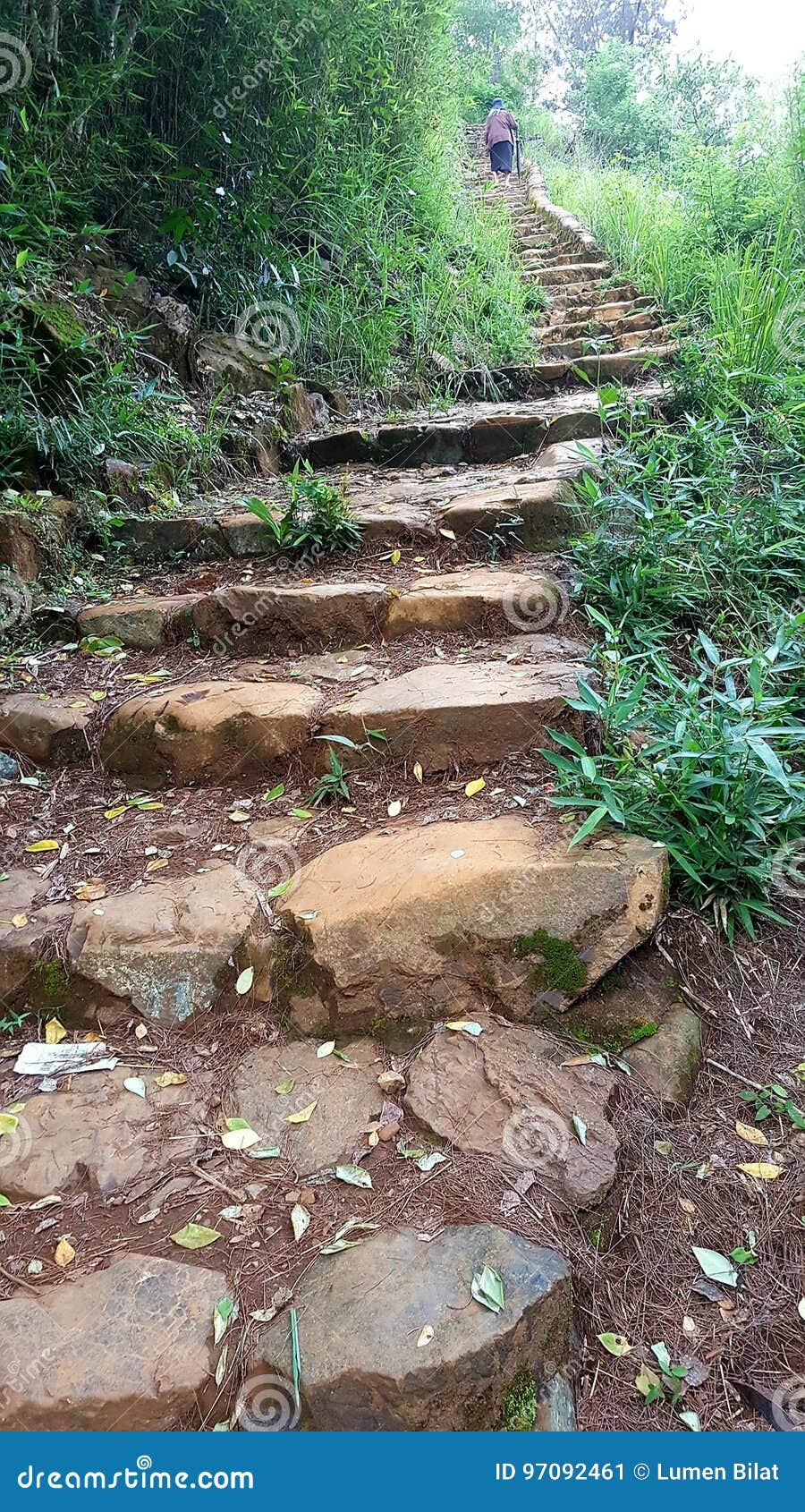 Hillside Stairway Walkway Stock Photography | CartoonDealer.com #39910166