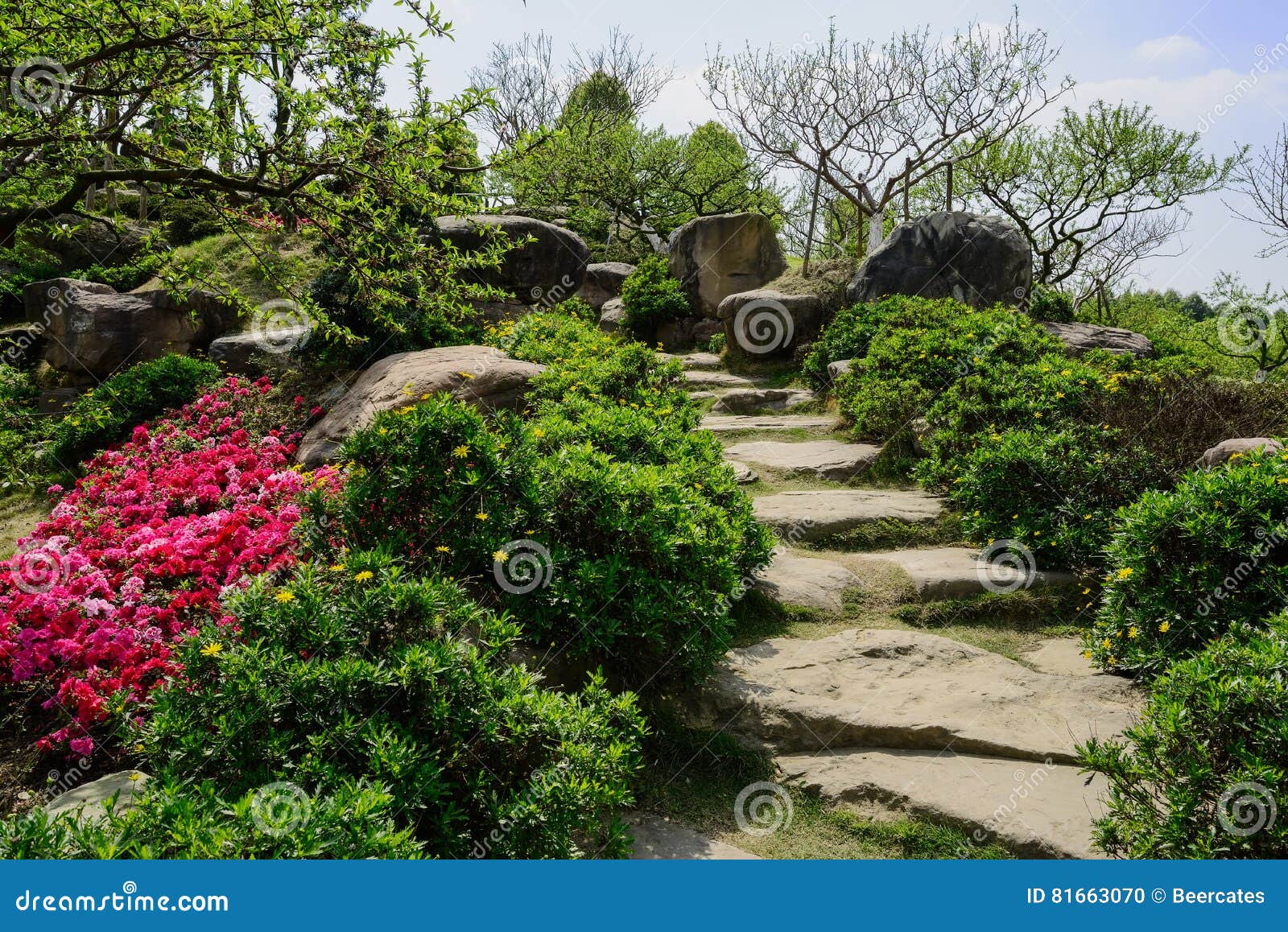 Hillside Stone Steps in Sunny Flowering Spring Stock Photo - Image of ...