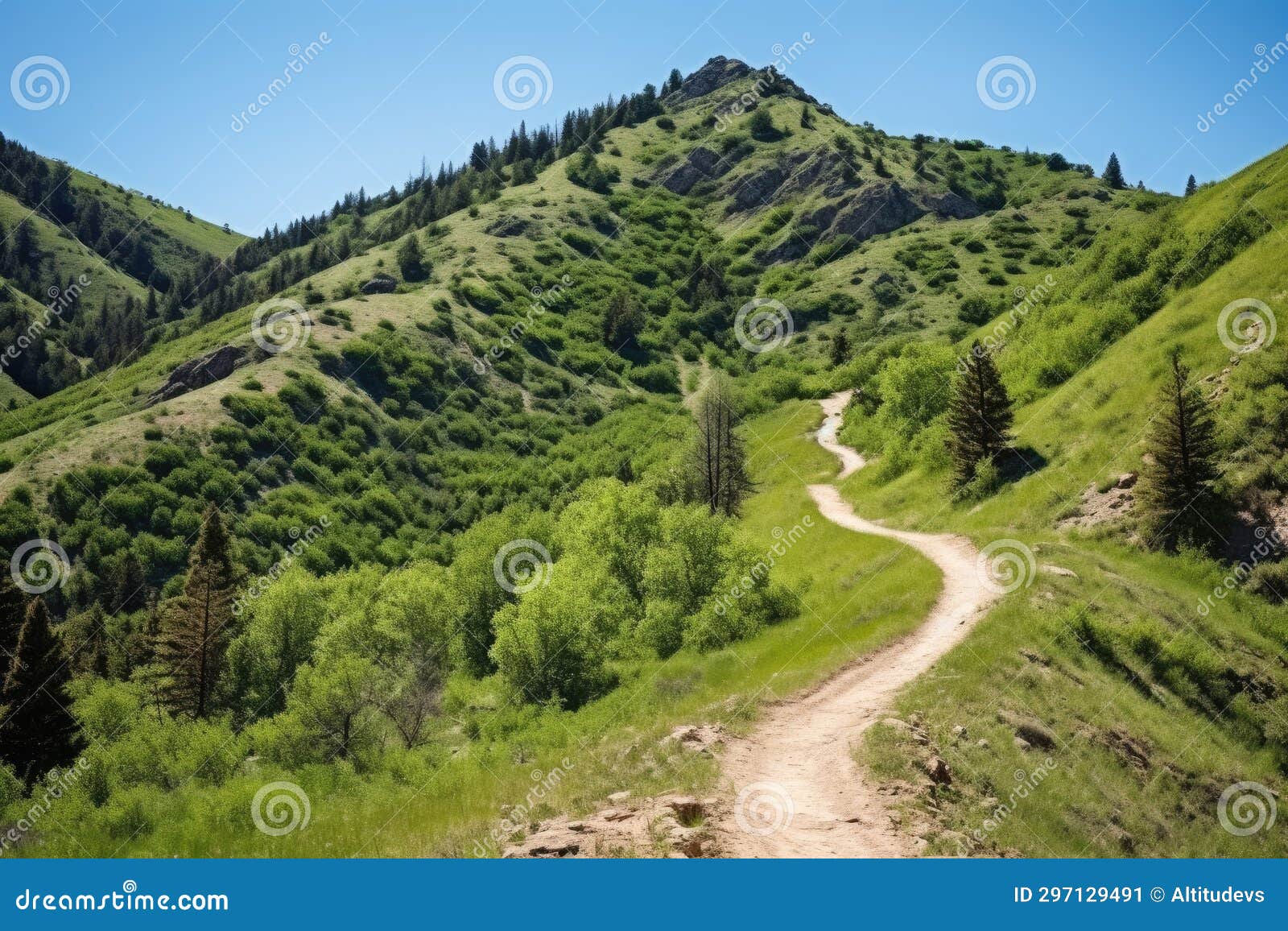 Hillside Trail with Multiple Switchbacks Stock Image - Image of ...