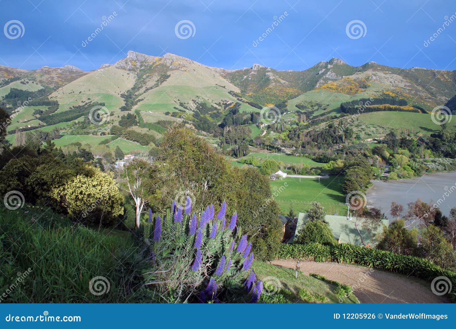 Hillside view stock photo. Image of hillside, flowers - 12205926
