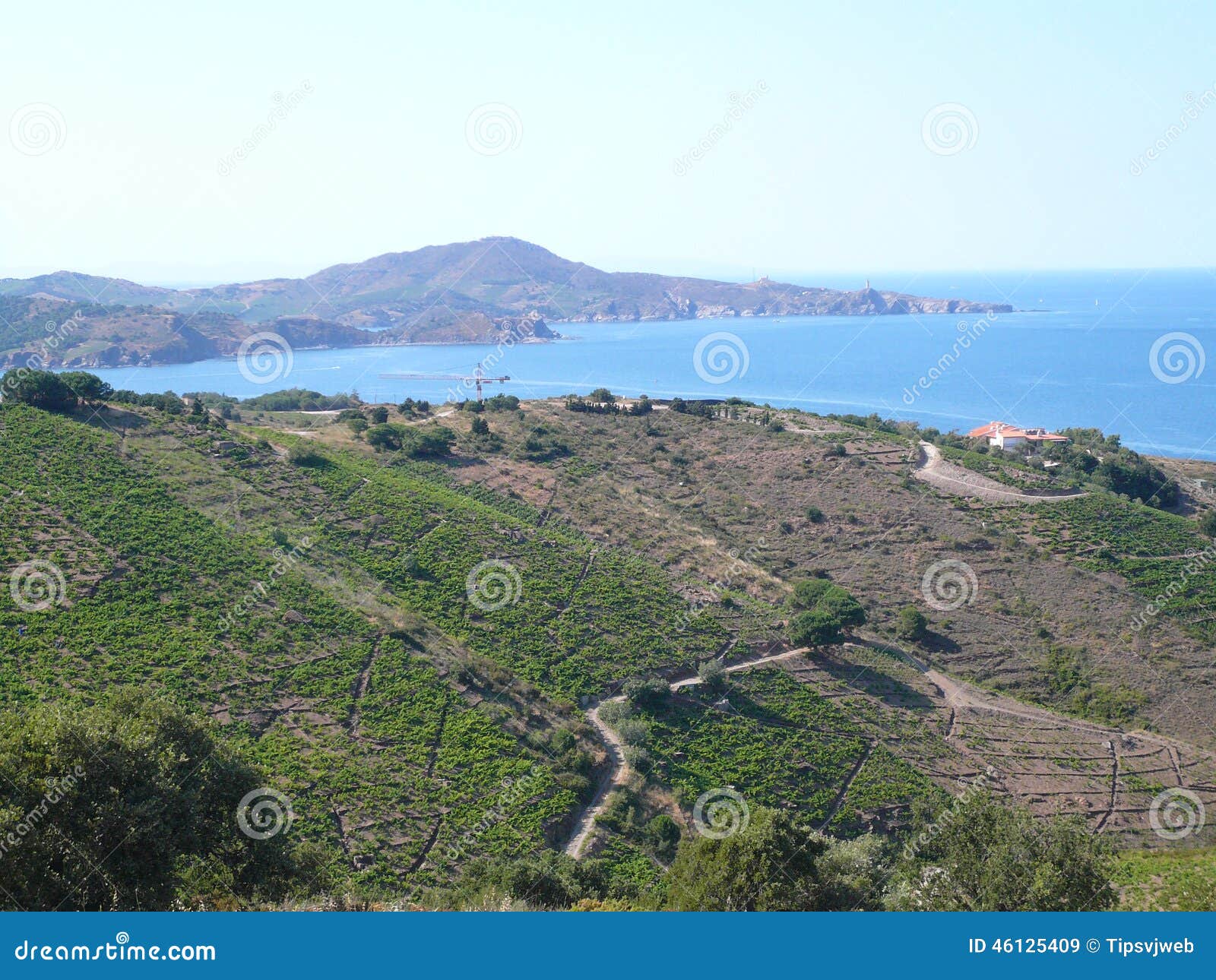 Hillside stock image. Image of hillside, green, mountain - 46125409