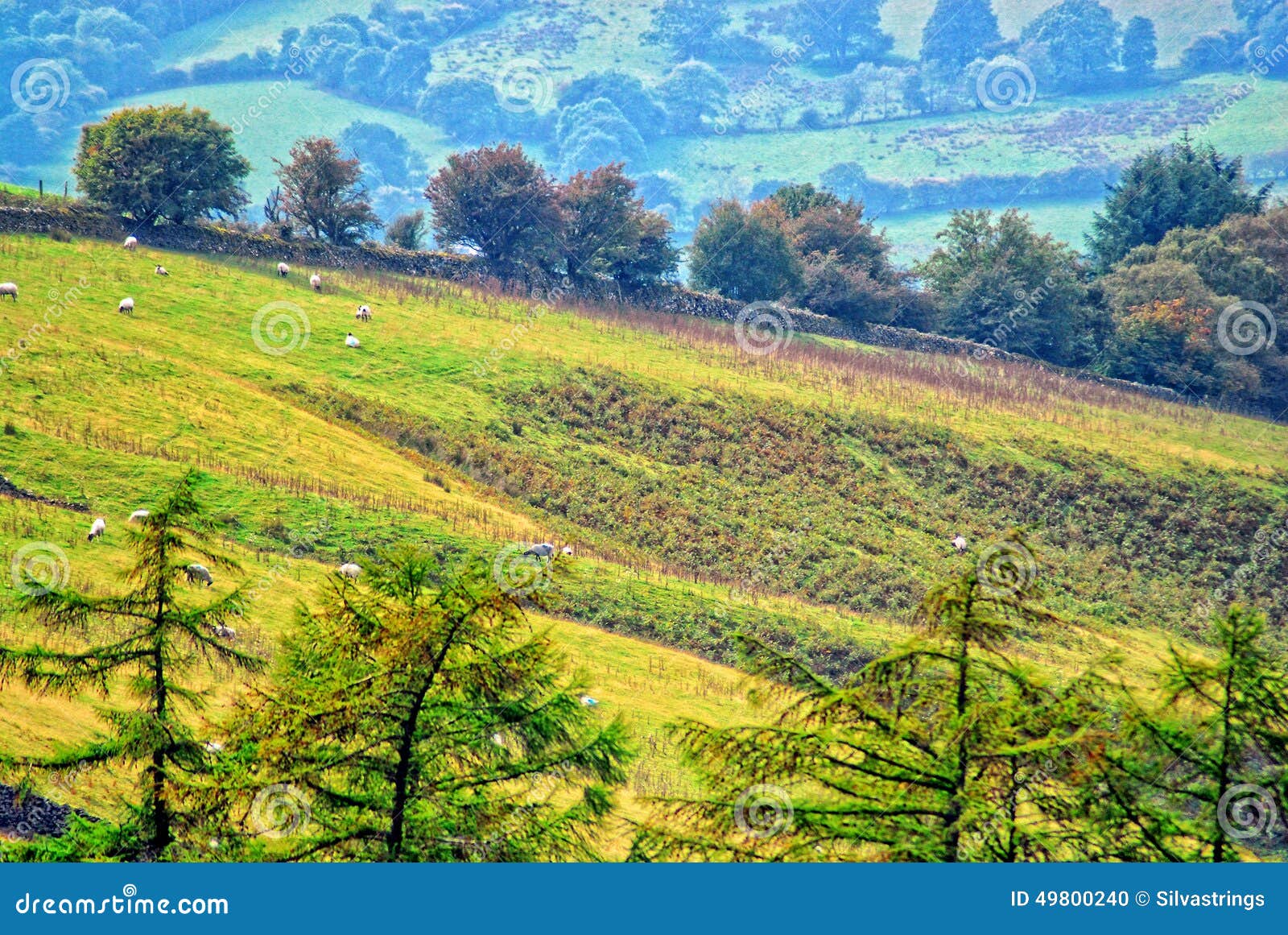 Hillside view stock photo. Image of serene, view, farmland - 49800240