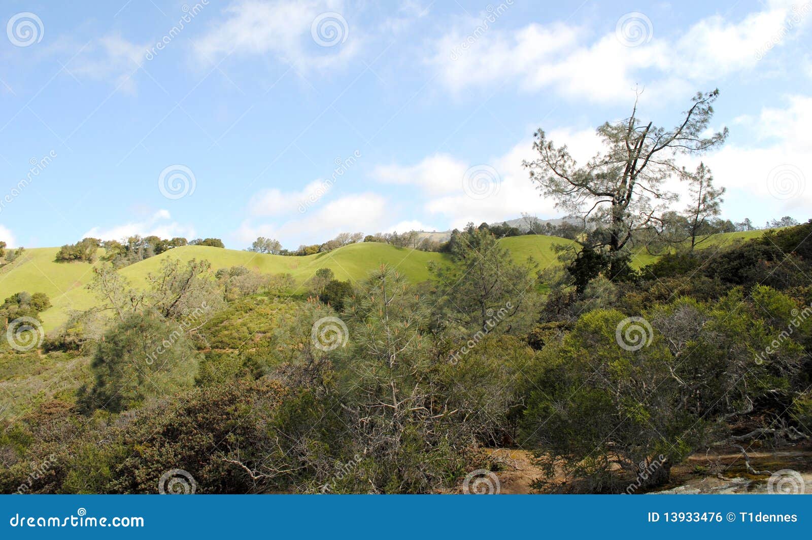 Hillside Views stock photo. Image of moss, bluff, light - 13933476