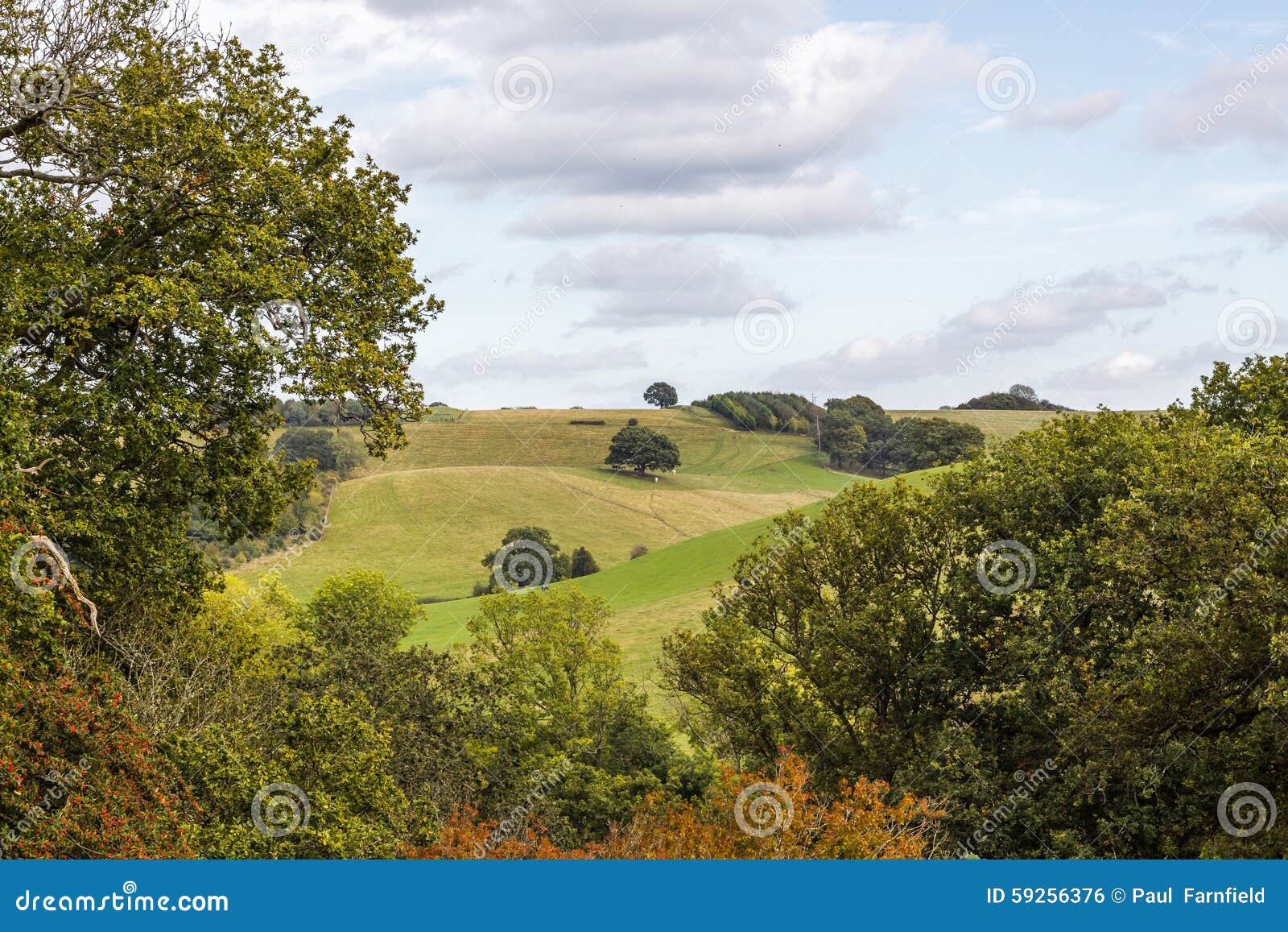 Hillside Vista stock photo. Image of hillside, landscape - 59256376