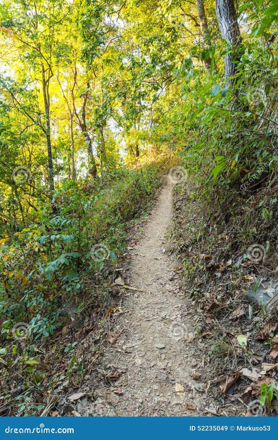 Hillside Walkway Stock Photo - Image: 52235049