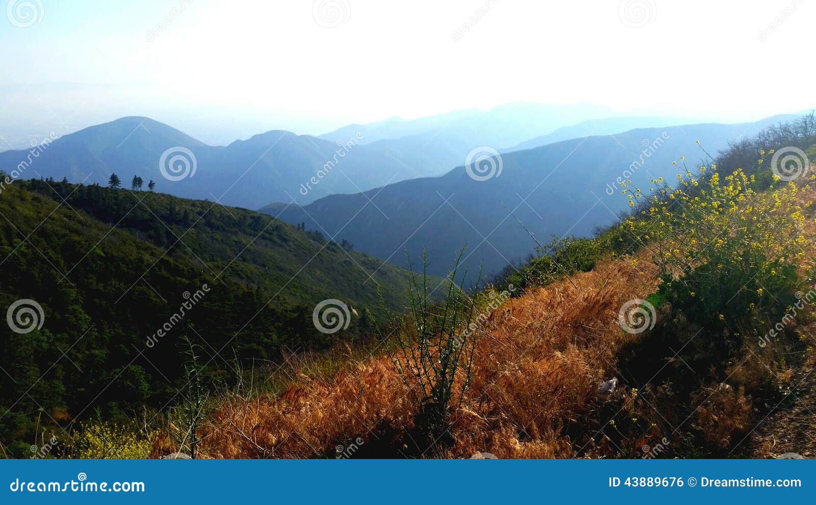 Hilltop view stock photo. Image of rise, view, hilltop - 43889676