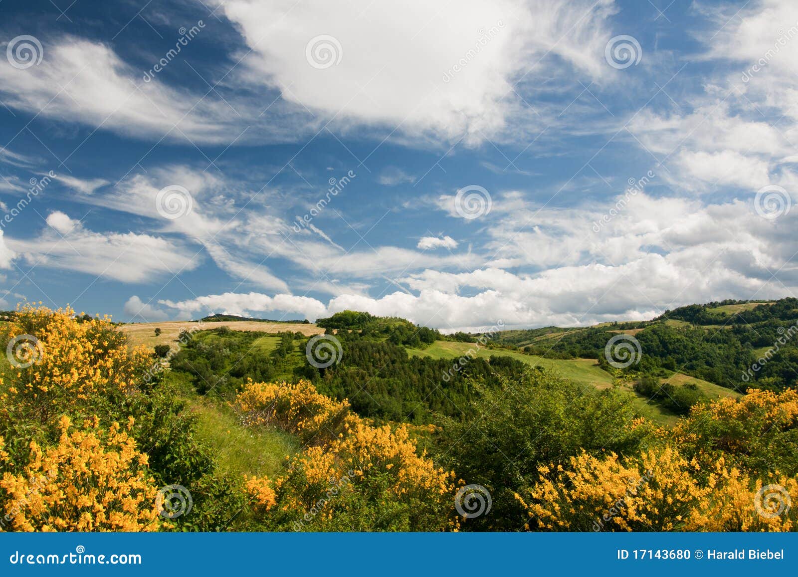 Hilly Countryside of Le Marche, Italy Stock Photo - Image of hill ...