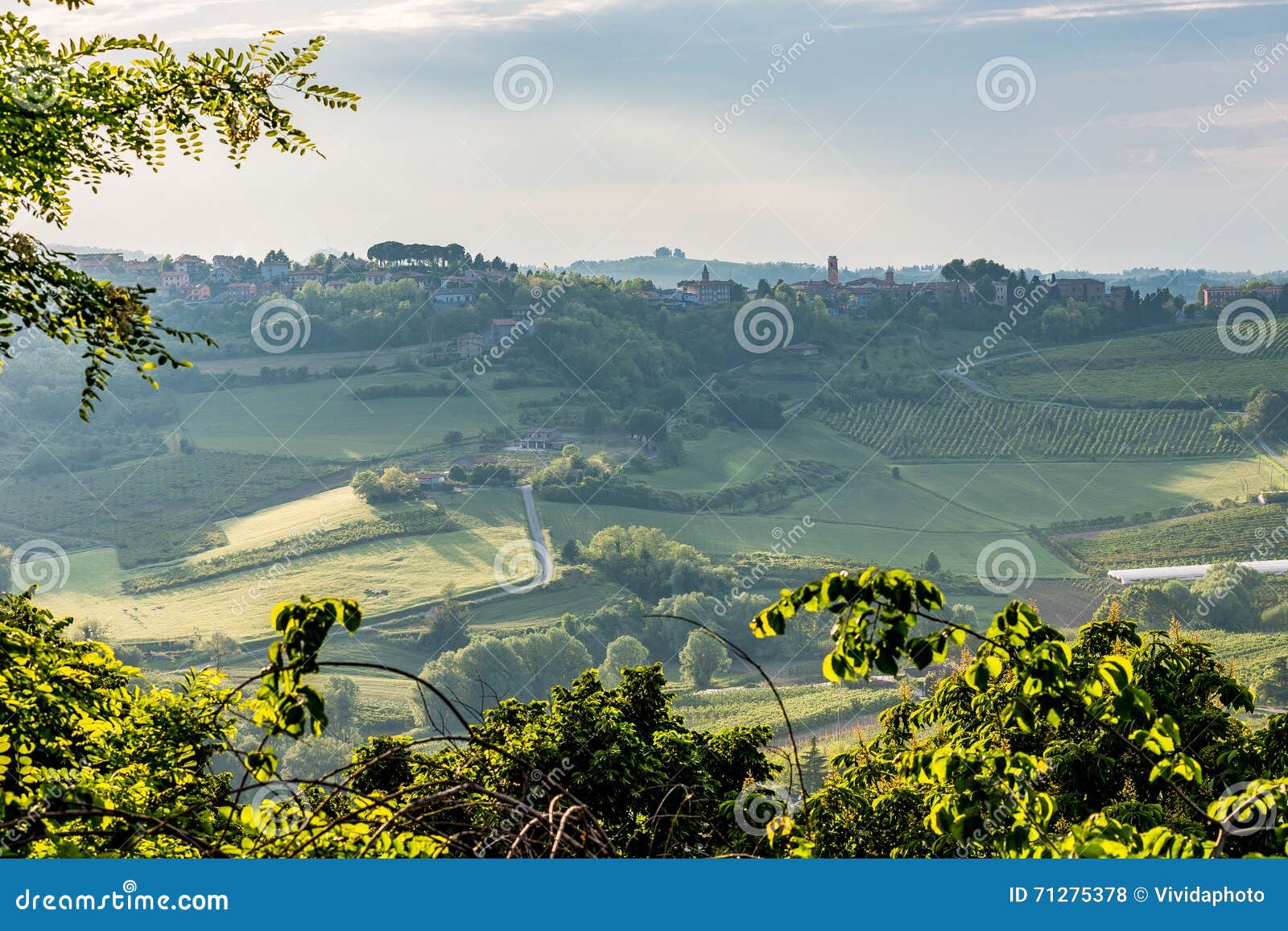 Hilly countryside stock photo. Image of branches, emilia - 71275378