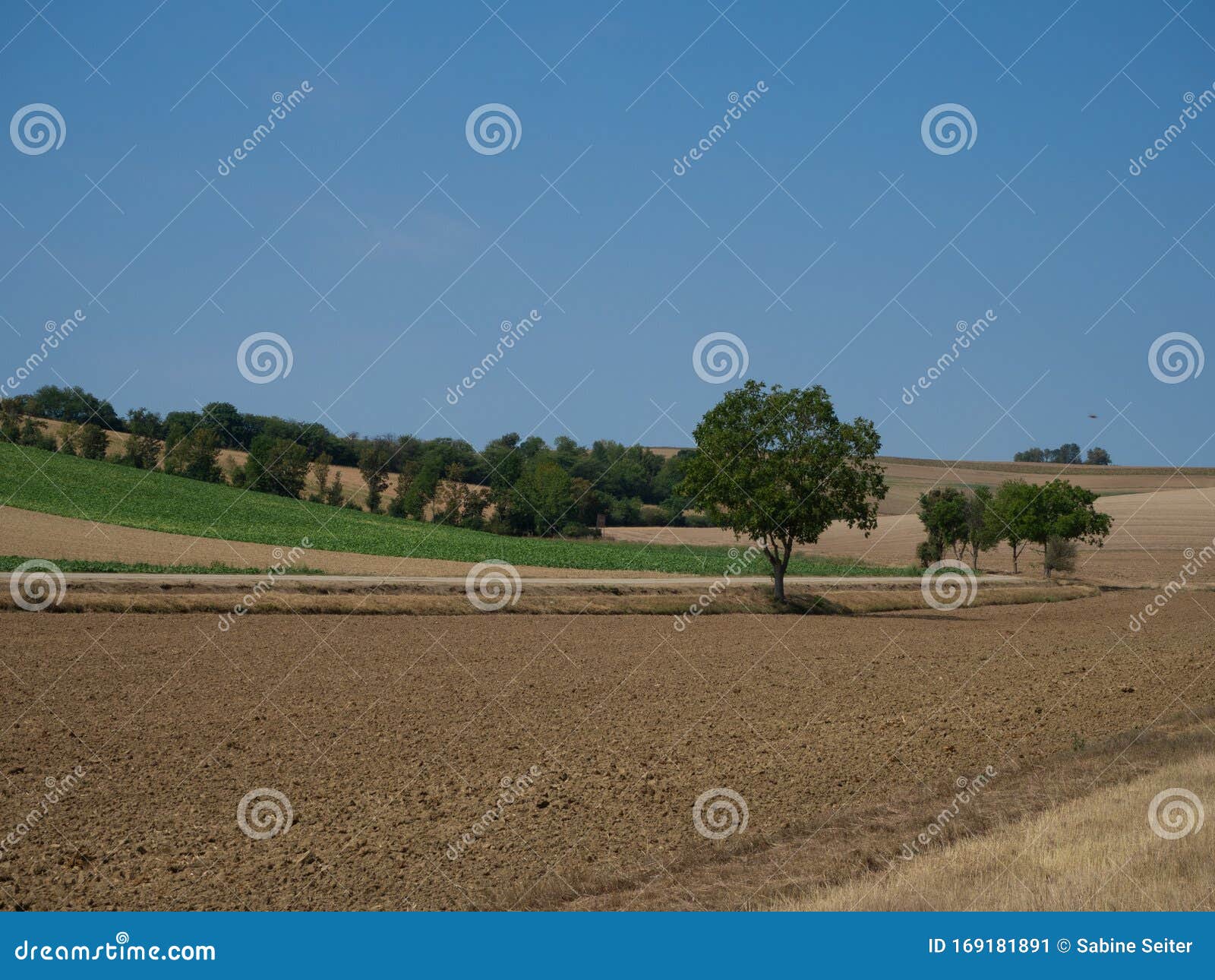 Hilly Farmland and Blue Sky Stock Image - Image of fields, clear: 169181891