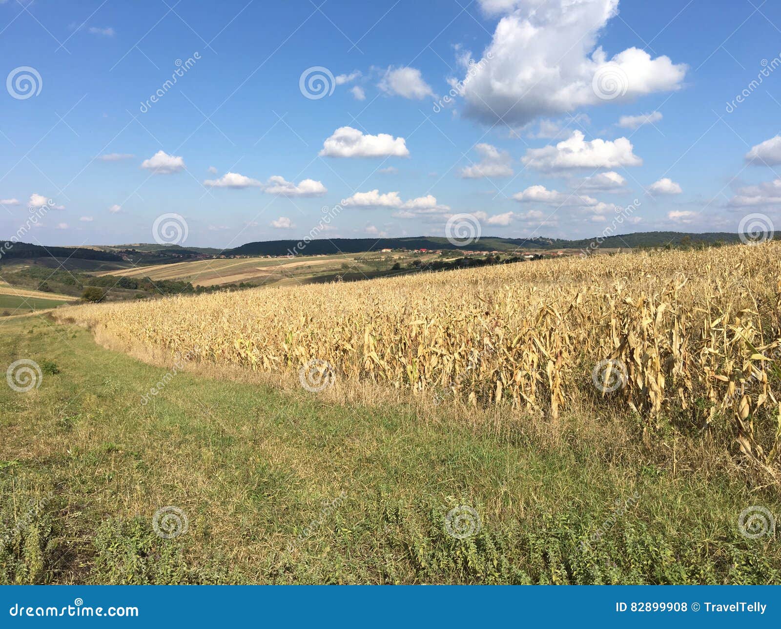 Hilly farmland stock photo. Image of ultrahd, agriculture - 82899908