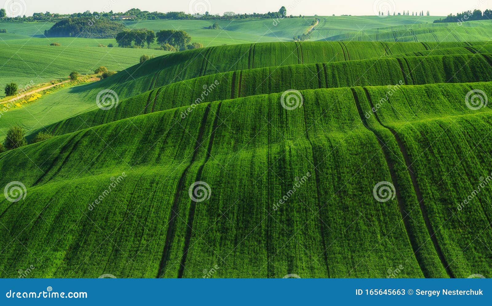 Hilly Field. Agricultural Field Stock Image - Image of field, meadow ...