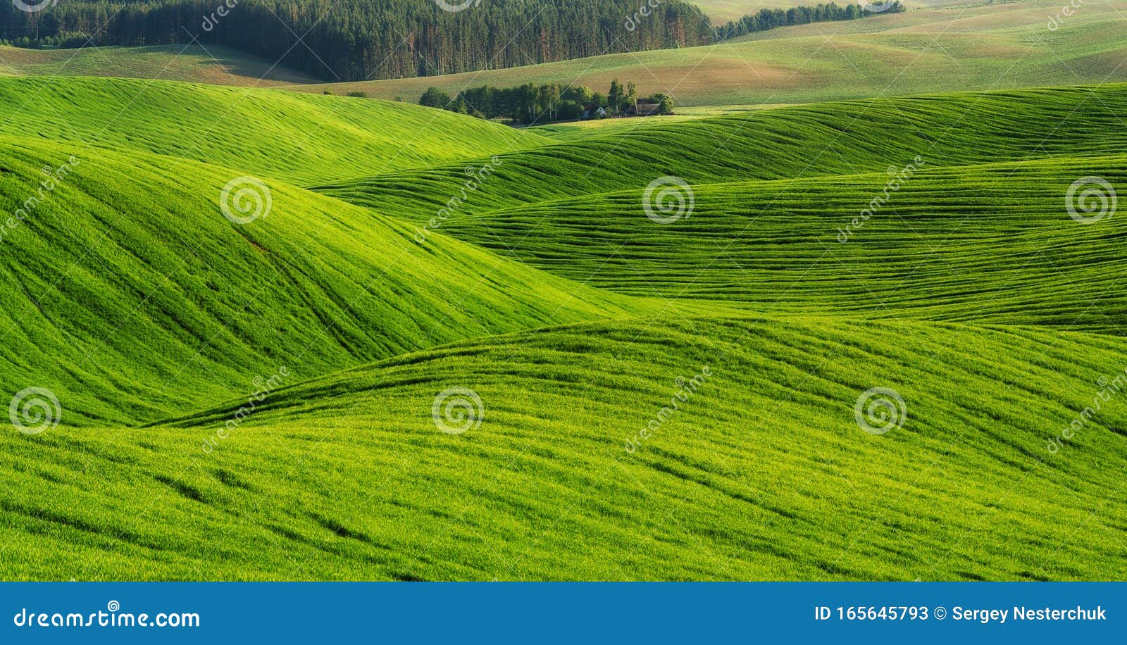 Hilly Field. Agricultural Field Stock Image - Image of agriculture ...