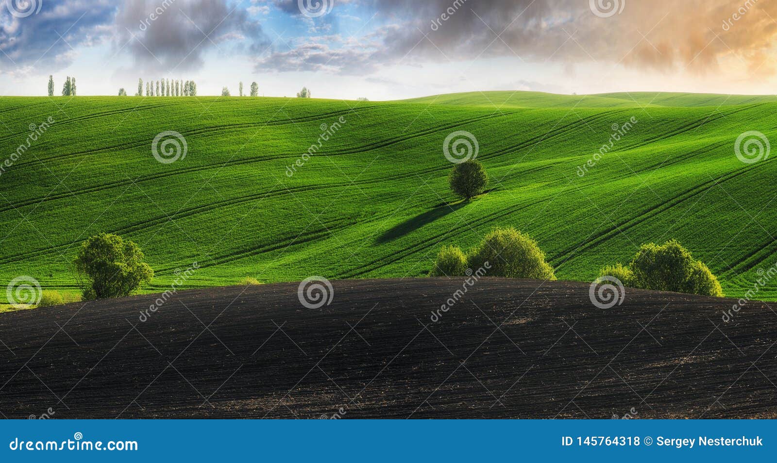 Hilly field. spring hills stock photo. Image of park - 145764318