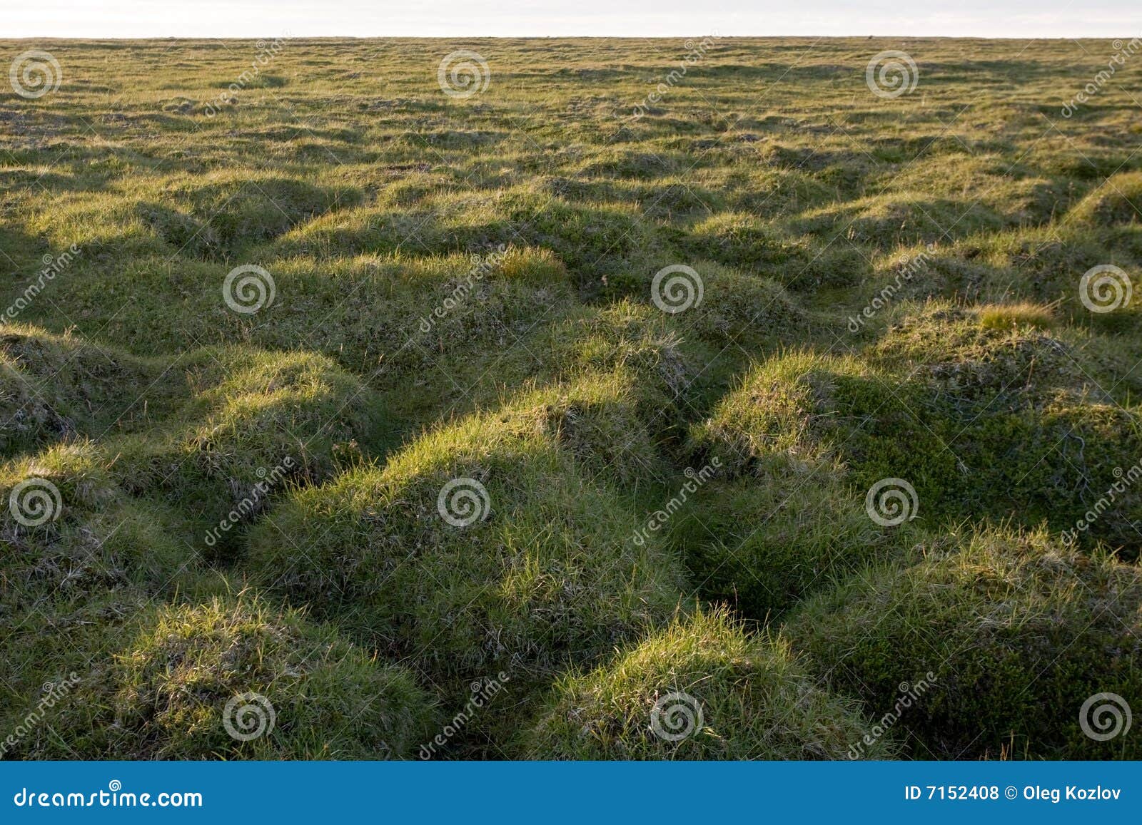 Hilly grass stock photo. Image of nature, peace, nice - 7152408
