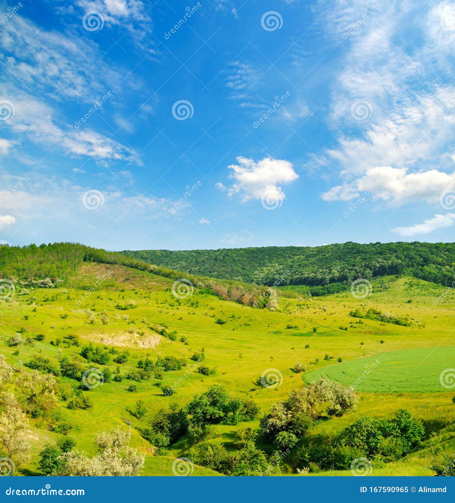 Hilly Green Fields with Trees and Blue Sky Stock Image - Image of hilly ...