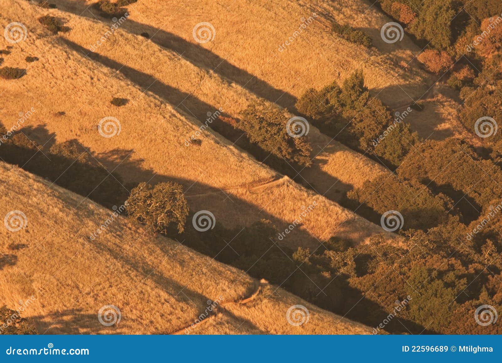 Hilly Hiking Path stock image. Image of beautiful, chaparral - 22596689