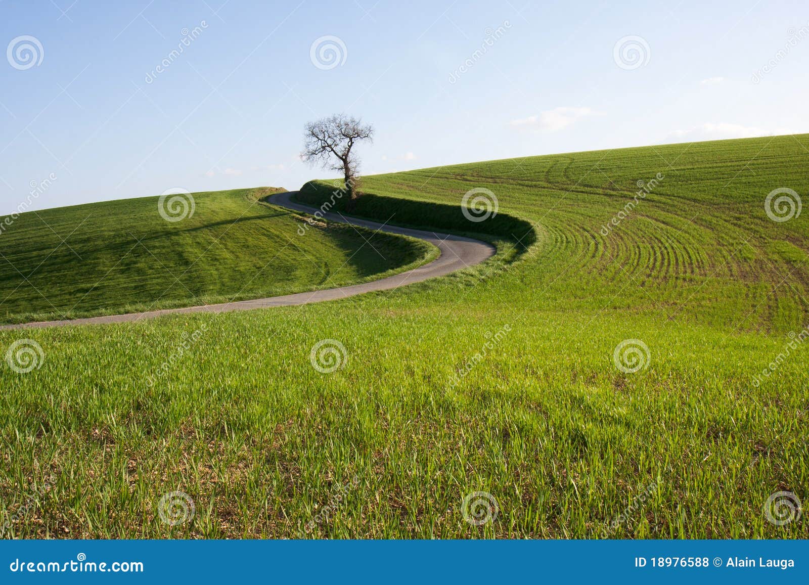 Hilly landscape stock photo. Image of bright, farming - 18976588