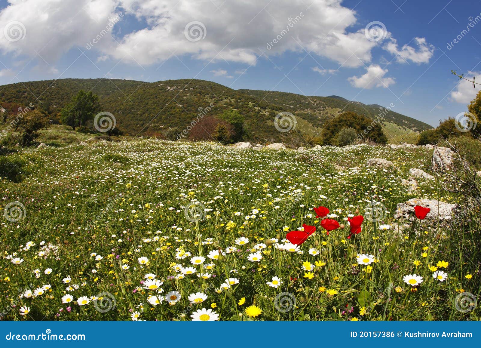 Hilly landscape. stock photo. Image of environment, meadow - 20157386