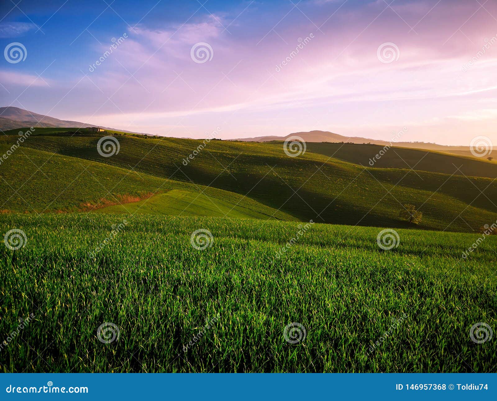 Hilly landscape at sunset stock photo. Image of cypress - 146957368
