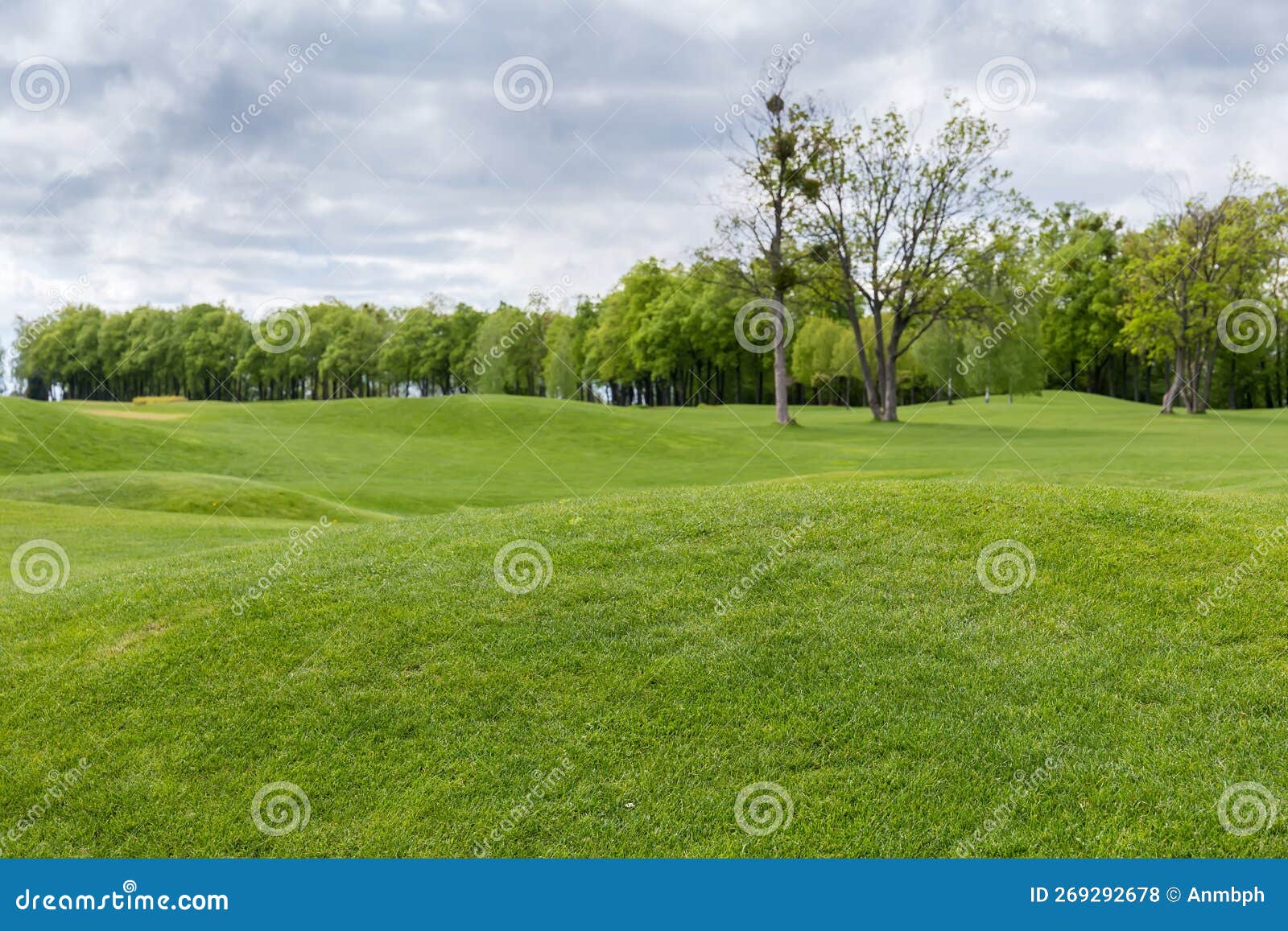 Hilly Lawn with Low Grass on Blurred Background of Trees Stock Photo ...