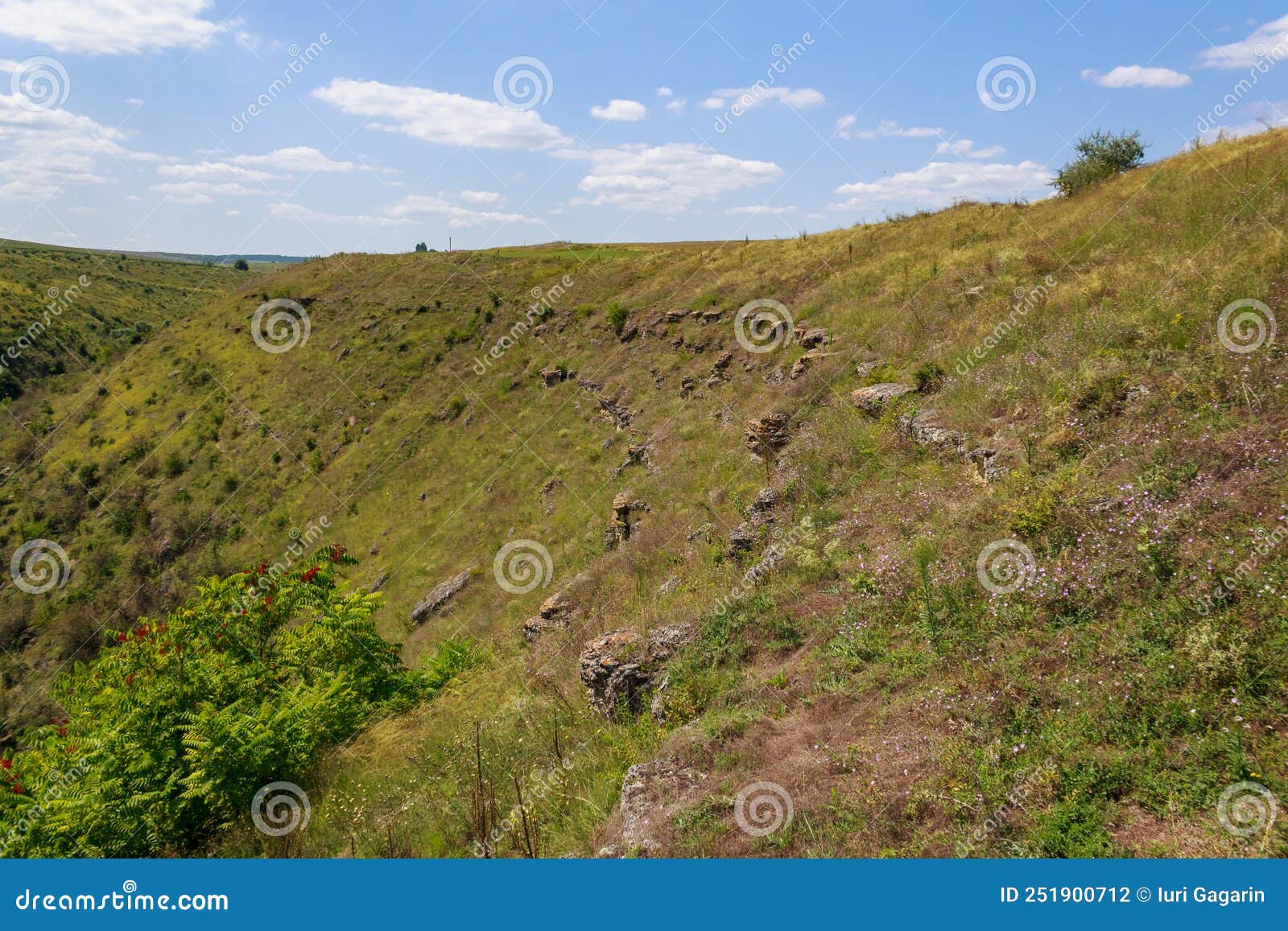 The Hilly Nature of Eastern Europe. Background with Copy Space for Text ...