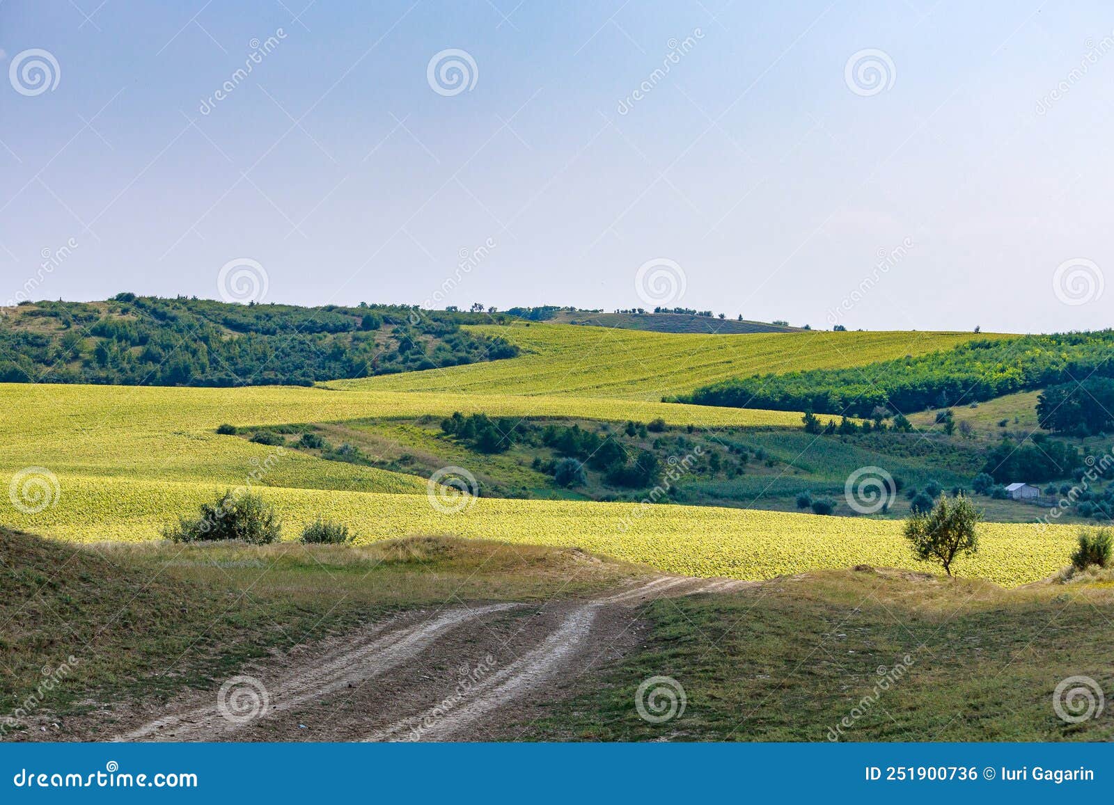 The Hilly Nature of Eastern Europe. Background with Copy Space for Text ...