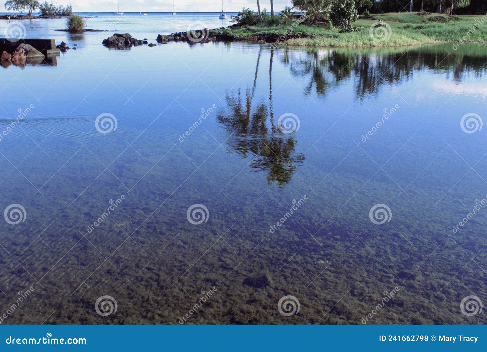 Hilo bay big island hawaii foto de archivo. Imagen de pantano - 241662798