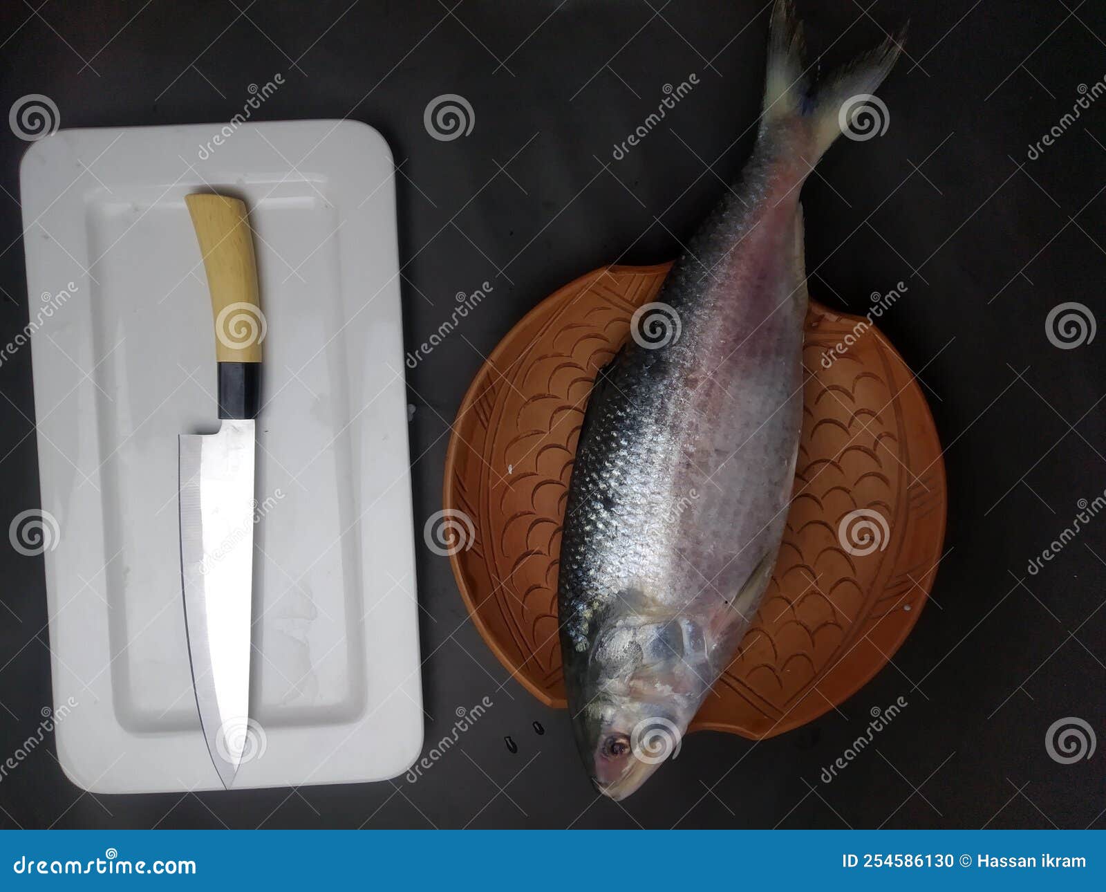 Hilsha Fish is a National Fish Stock Photo - Image of hilsah, national ...
