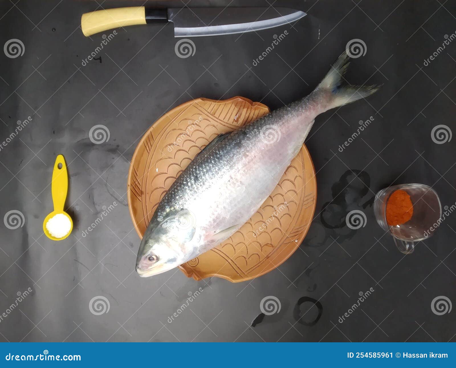 Hilsha Fish is a national stock image. Image of meat - 254585961