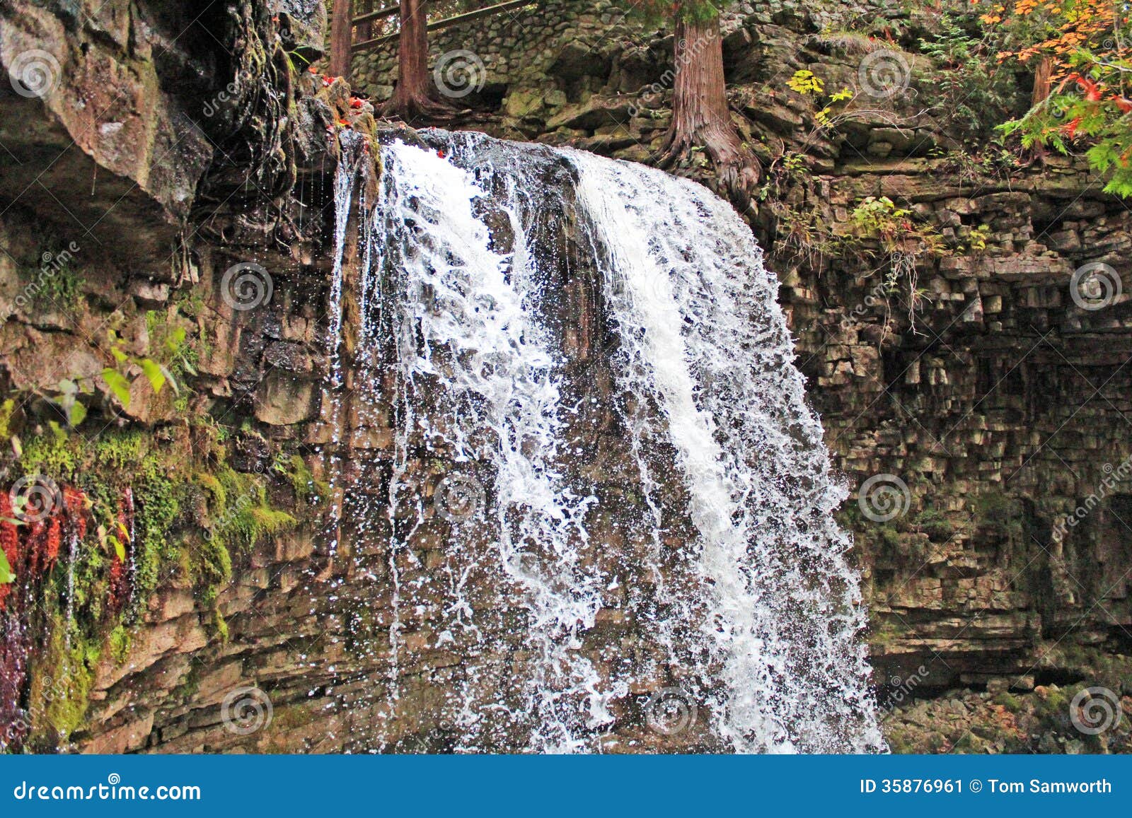 Hilton Falls Crest High Speed Stock Image - Image of conservation ...