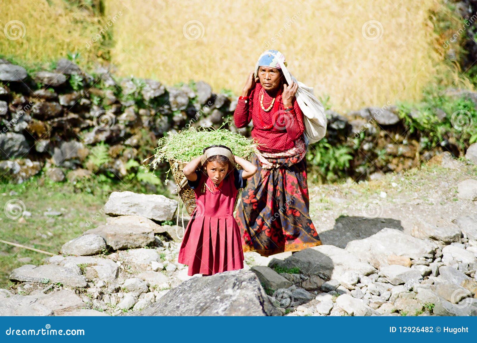 Himalaya Child Porter, Nepal Editorial Photography - Image of path ...
