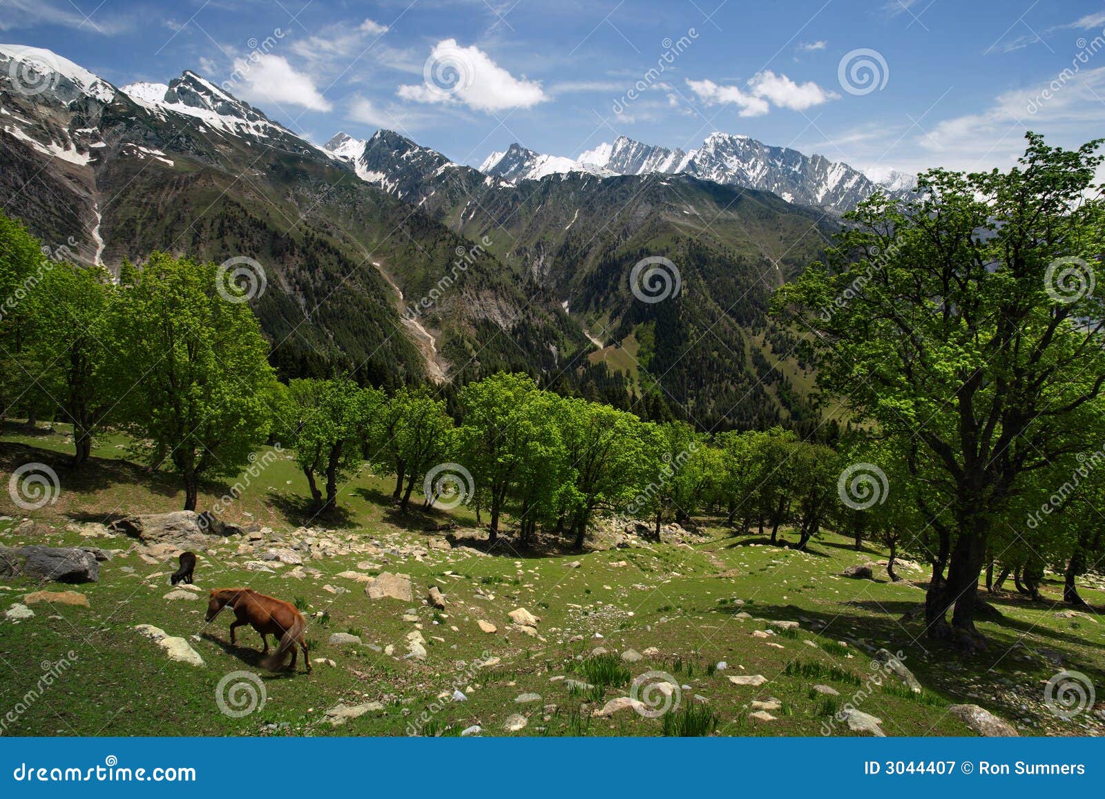 Himalaya landscape stock image. Image of tourism, scene - 3044407