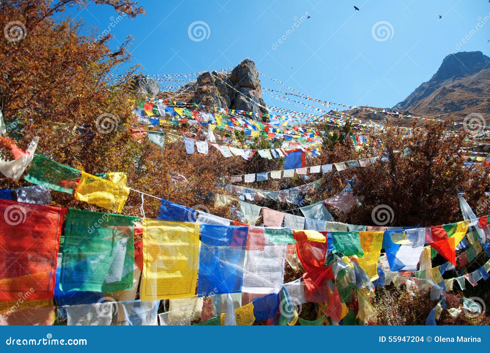 Himalaya prayer flags stock photo. Image of ancient, himalaya - 55947204