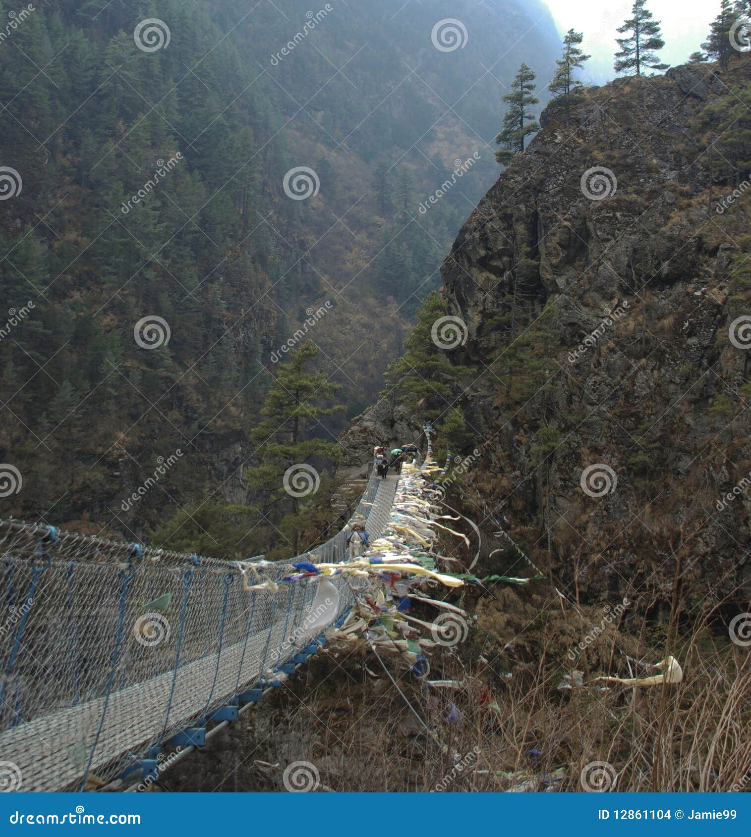 Himalayan bridge stock photo. Image of sway, bridge, high - 12861104