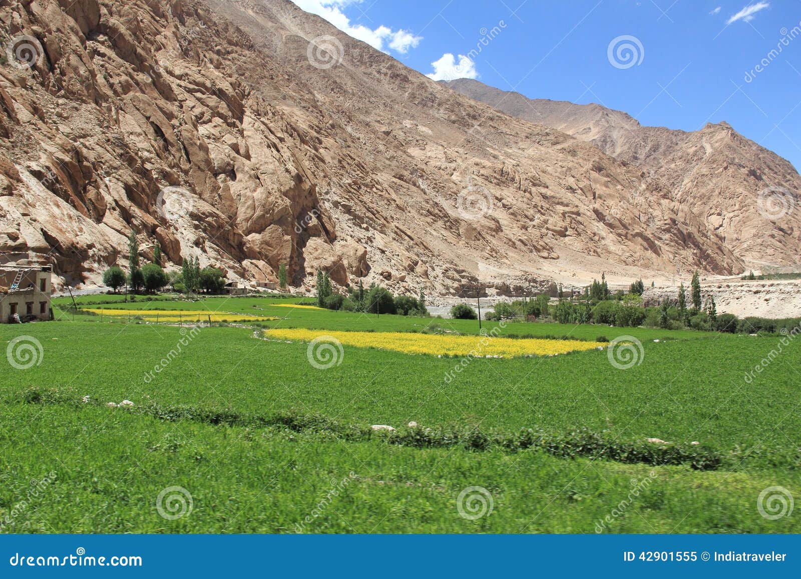 Himalayan fields(Ladakh). stock image. Image of valley - 42901555