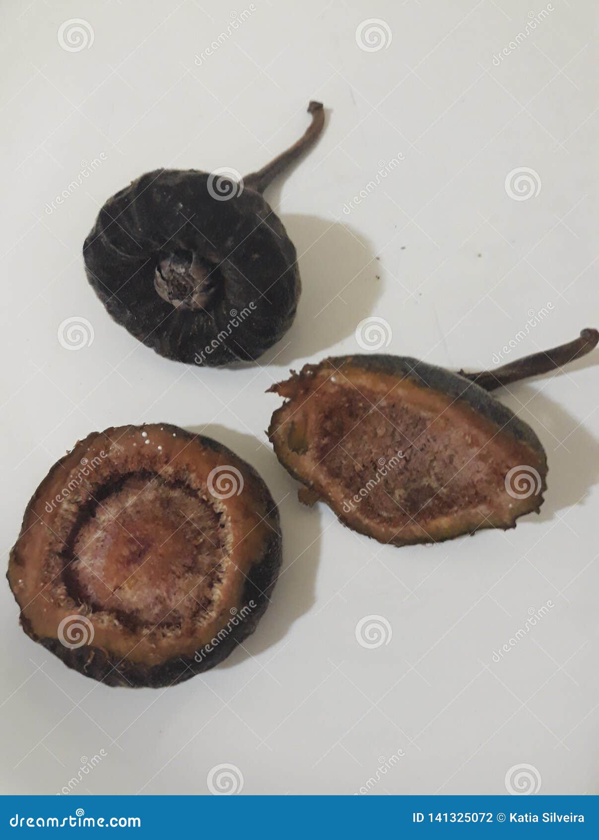 Himalayan Fig Seen from within Stock Photo - Image of indigestible ...