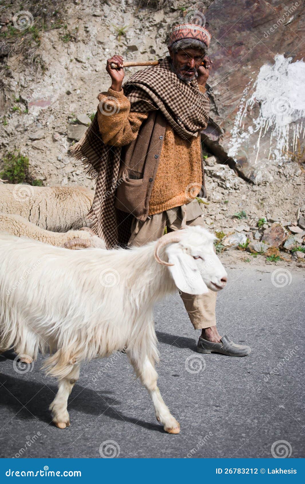 Himalayan Shepherd from India, Lahoul Valley Editorial Photography ...