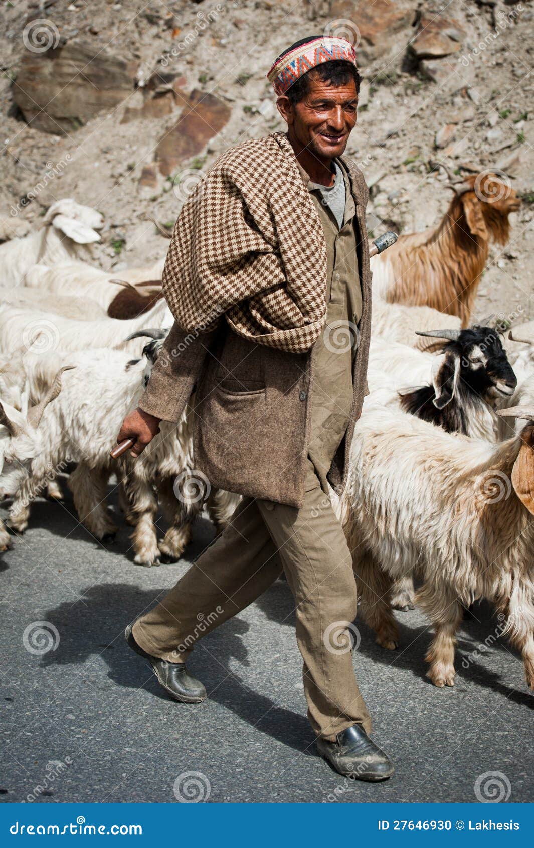 Himalayan Shepherd Leads His Goat and Sheep Flock Editorial Image ...