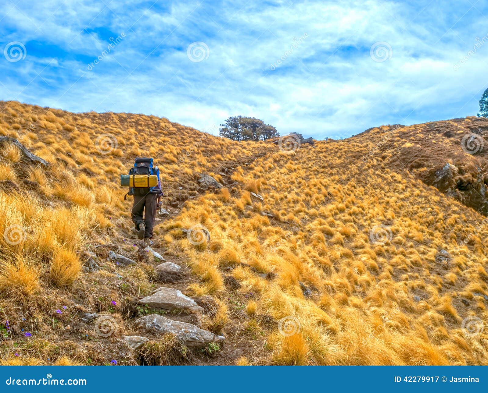 Himalayan trekking stock image. Image of natural, himalayan - 42279917