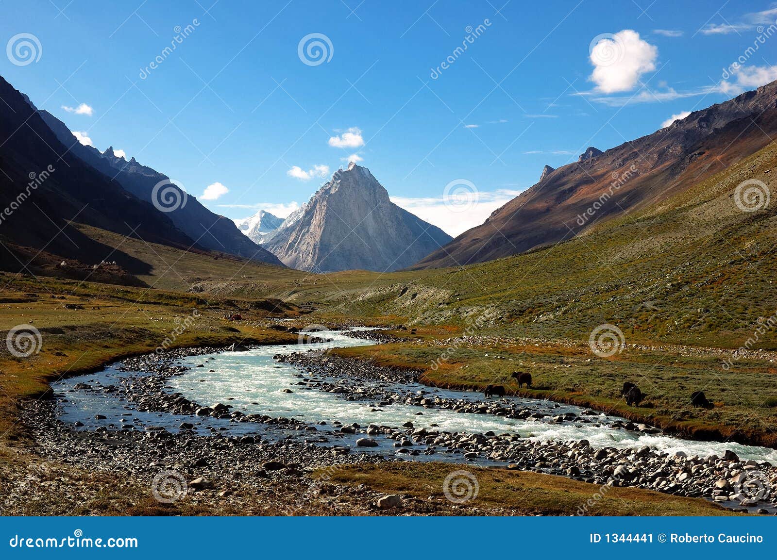 Himalayan valley stock image. Image of outdoor, ladakh - 1344441