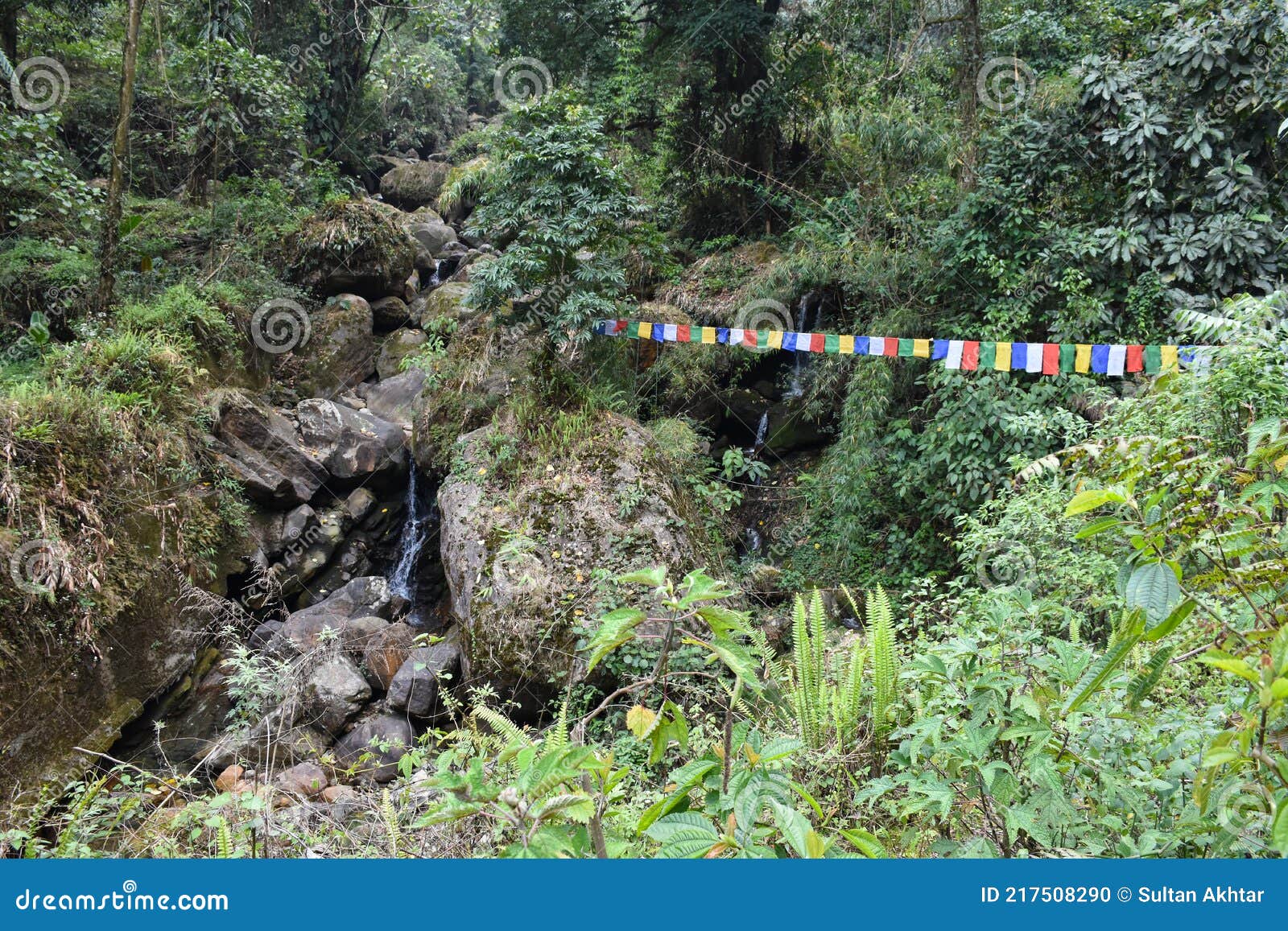 Himalayan Water Fall with Colored Prayer Flag and Greenery Stock Photo ...