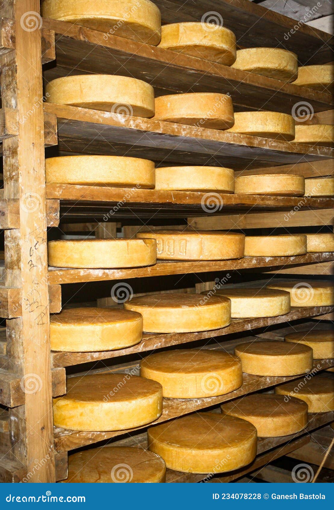 Himalayan Yak Cheese stock photo. Image of nepal, milk - 234078228