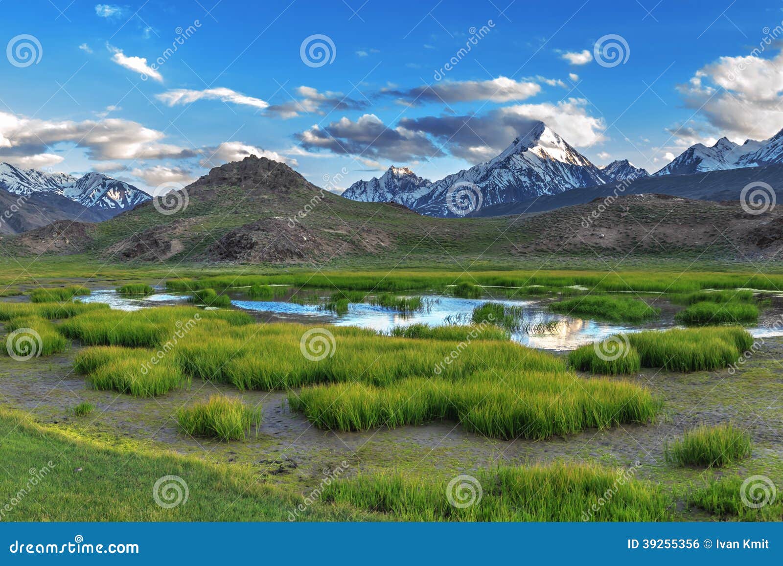 Himalayas stock photo. Image of river, alps, grass, regions - 39255356