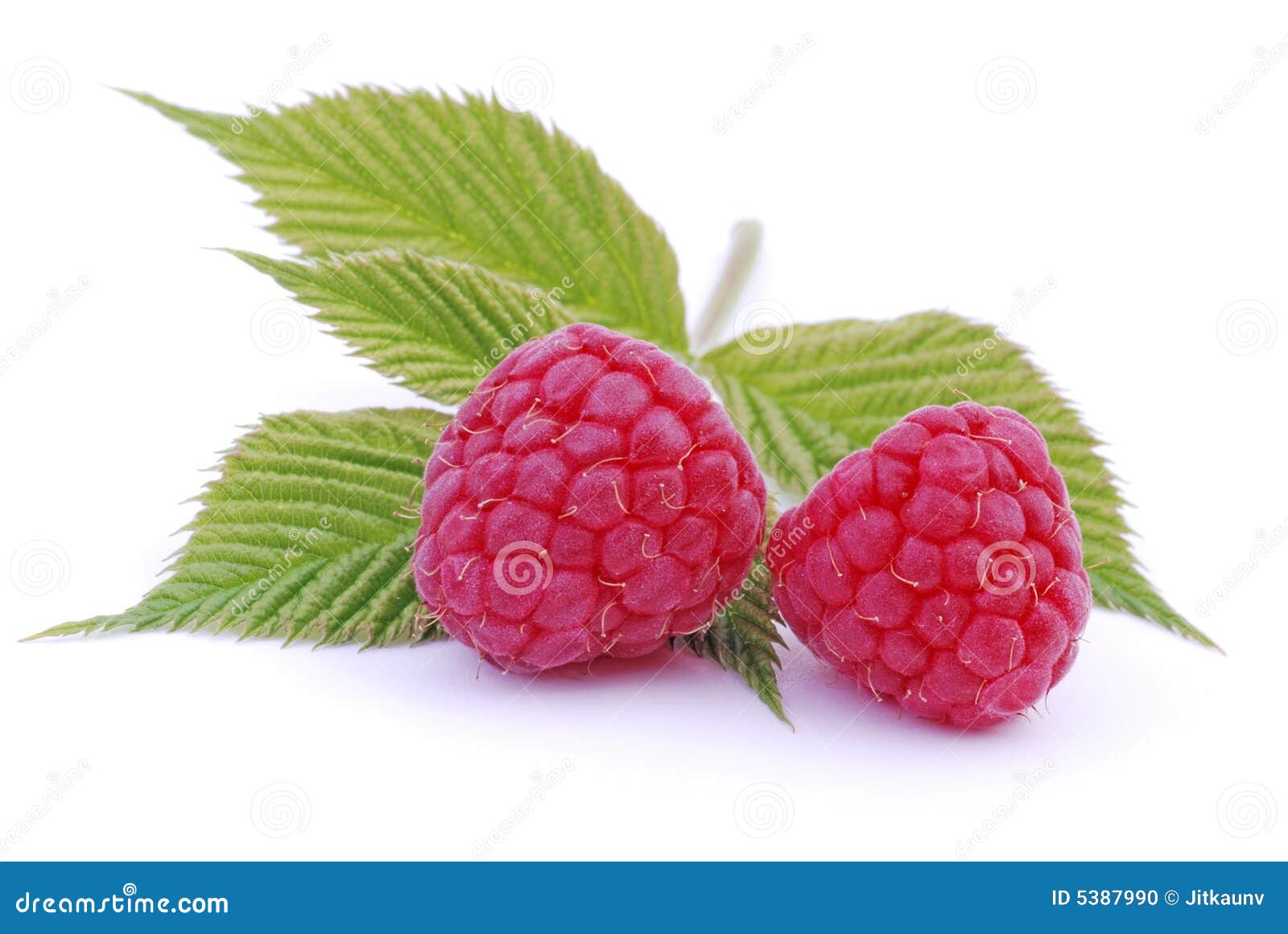 Himbeere stockfoto. Bild von reif, beere, essen, hintergrund - 5387990