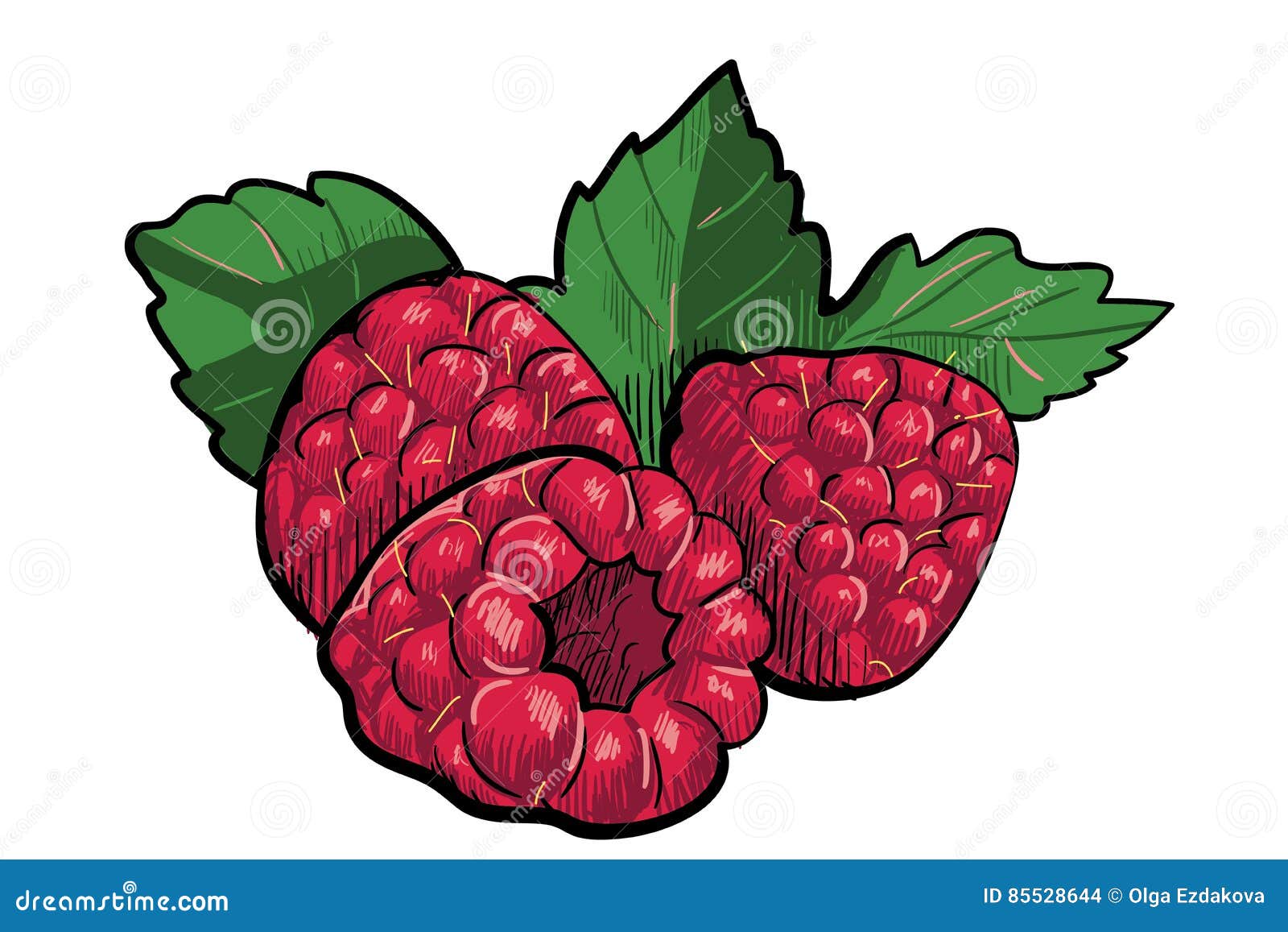 Himbeere 3 Himbeeren Stock Illustrationen, Vektors, & Klipart – (2 ...